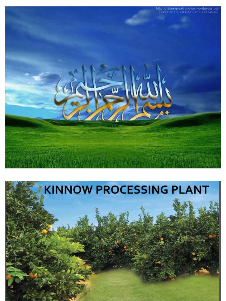 Kinnow Processing Plant (Sitrus Fruit) | PDF