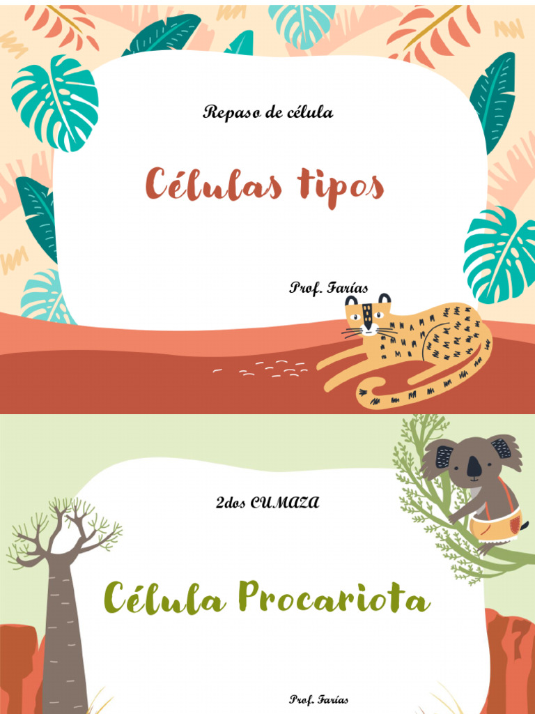 Repaso de Célula | PDF