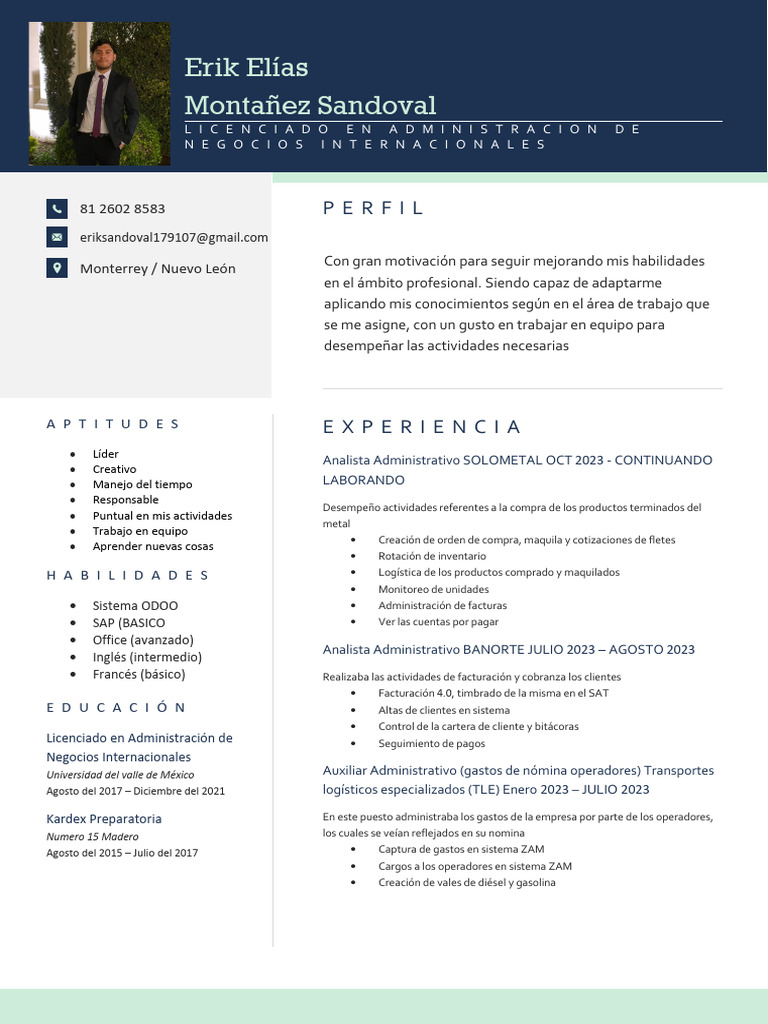 Cv+Elias+Montan 83 Ez | PDF