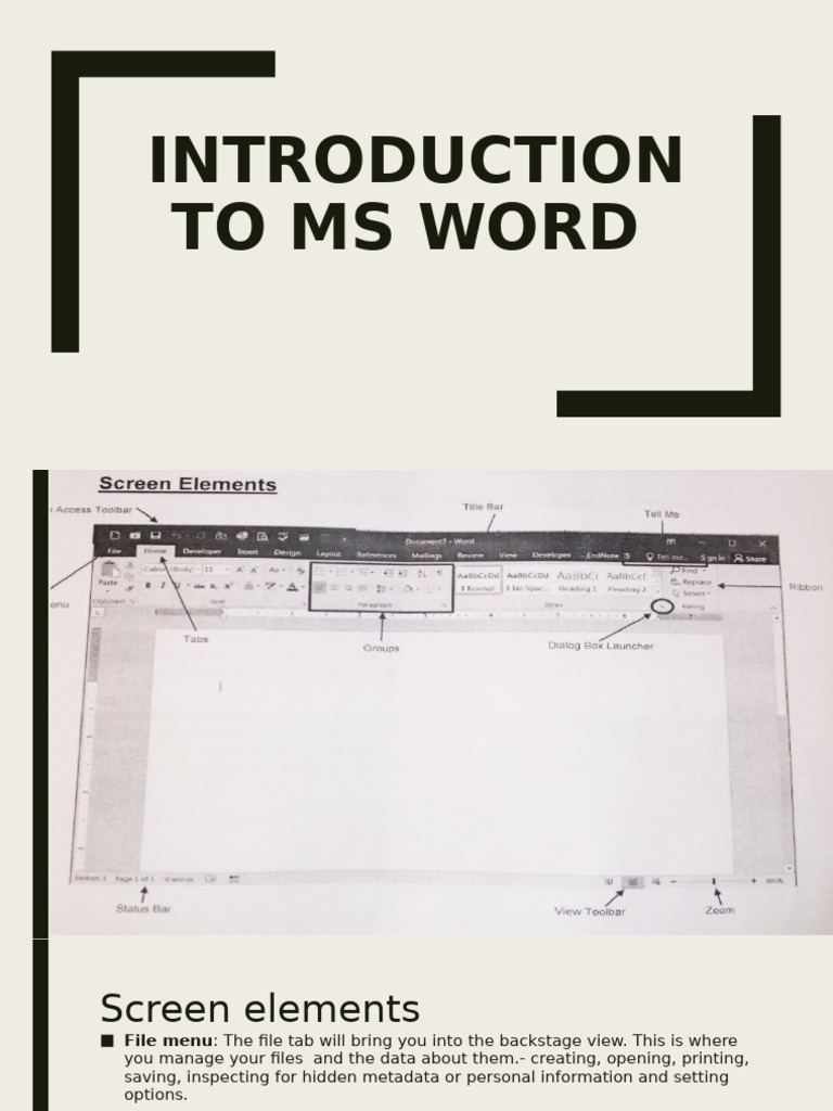 Introduction To Ms Word | PDF