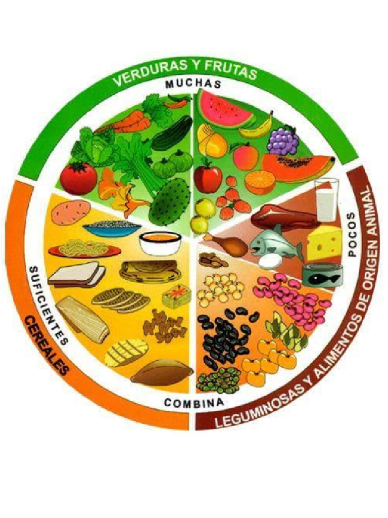 El Plato Del Buen Comer | PDF