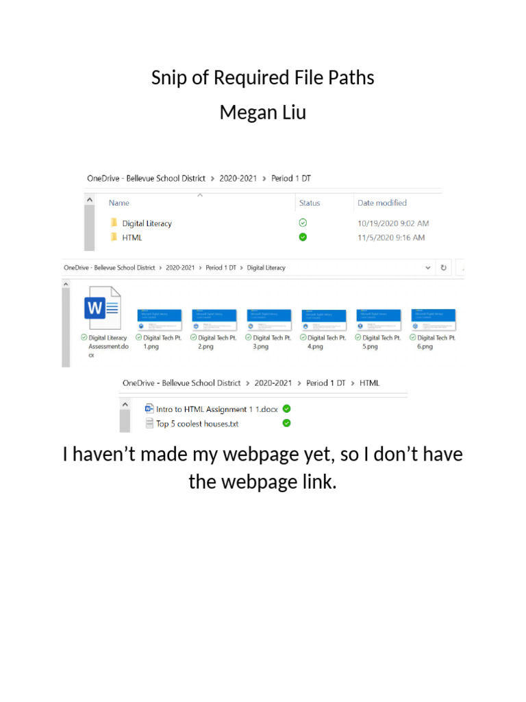 Megan Snip of Required File Paths | PDF