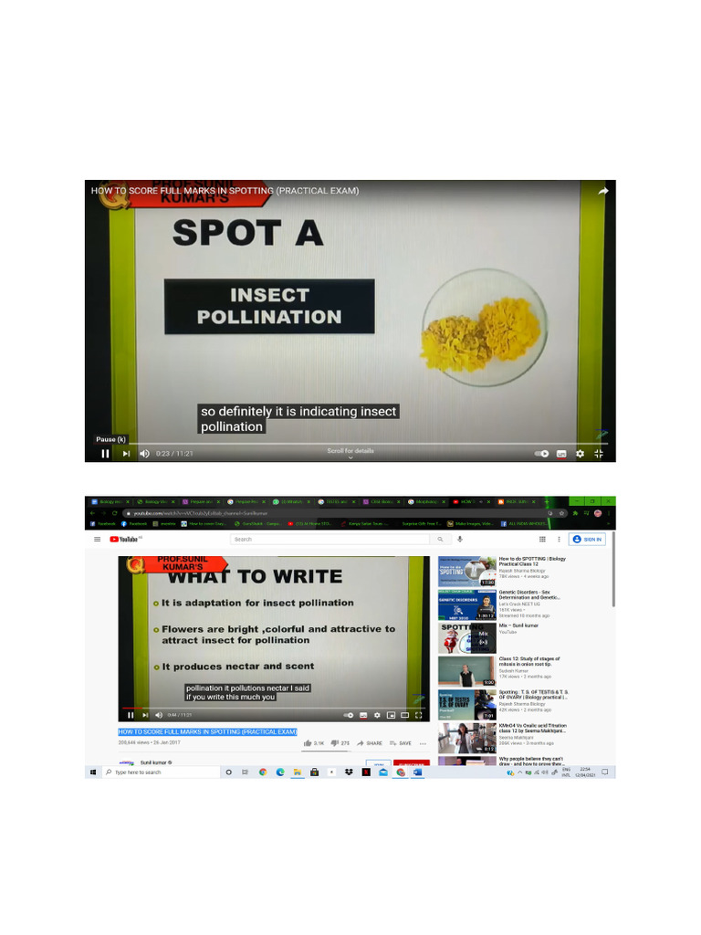 Spotting Notes | PDF