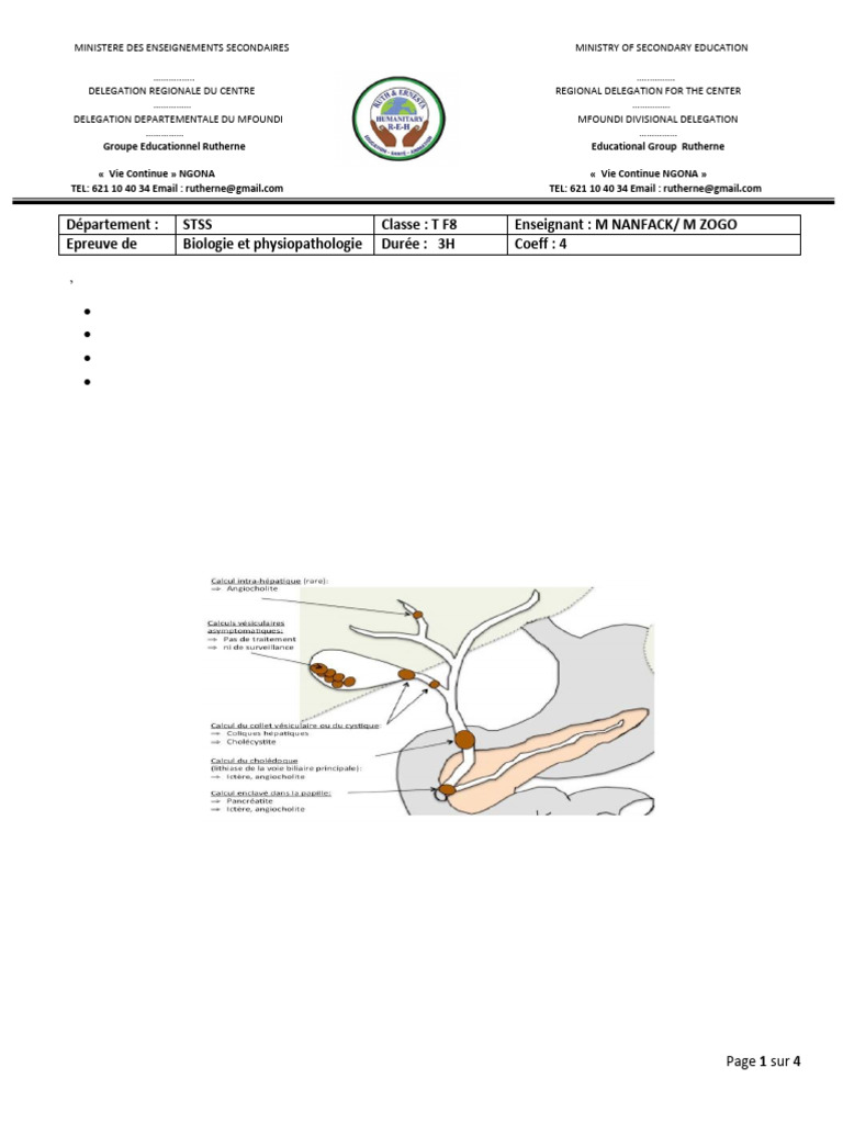 Bio tf8 Seq 4 Rutherne 2024 | PDF