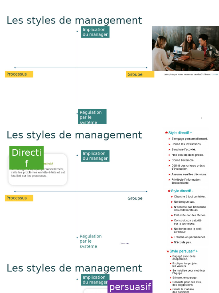 Cours N 2 Styles de Management | PDF