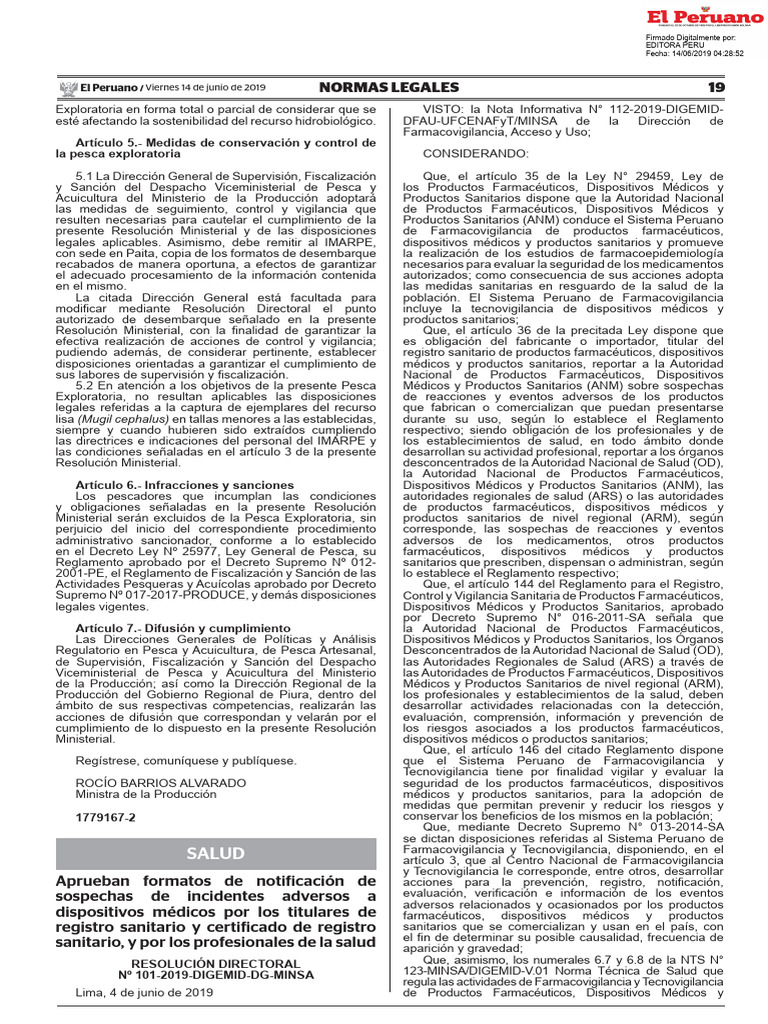 RD #101-2019-DIGEMID Formato Reporte IA - DM | PDF