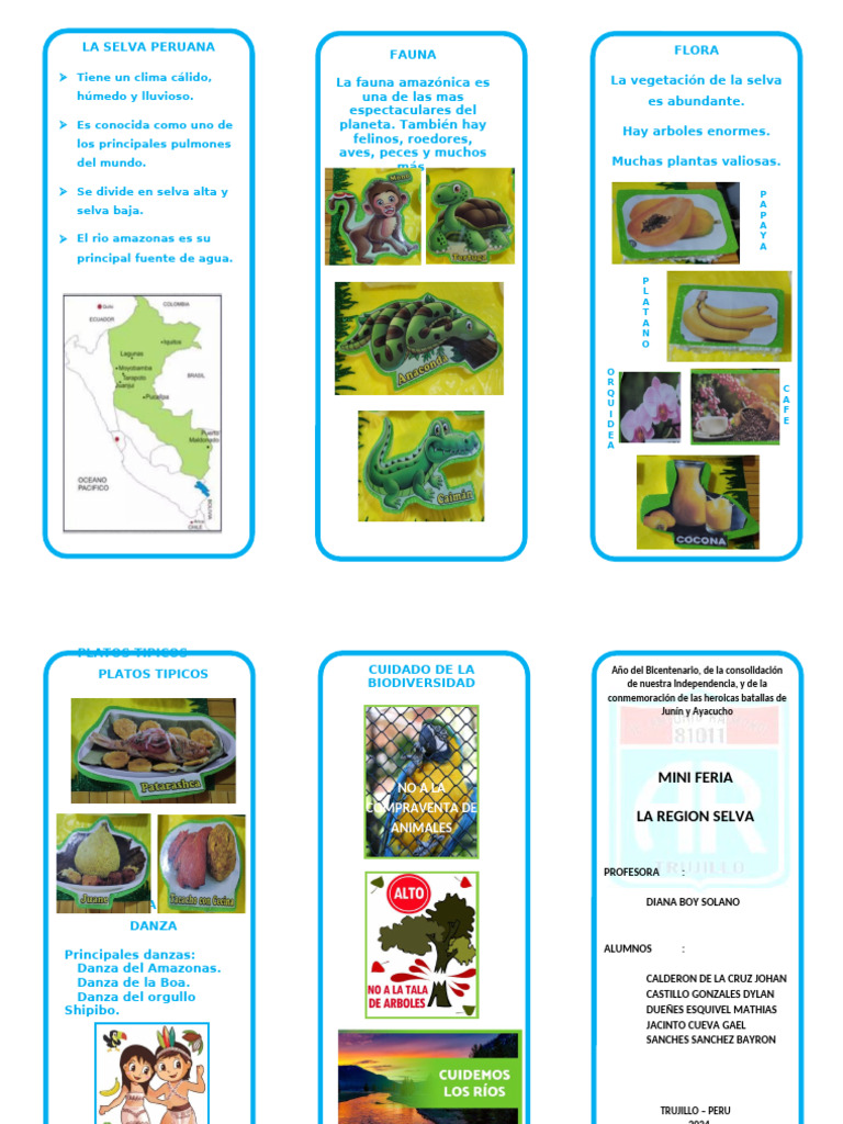 TRIPTICO-la Selva | PDF
