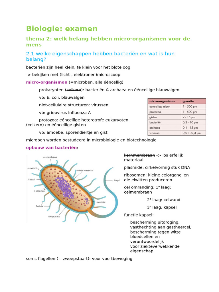 Bio Examen Samenvatting | PDF