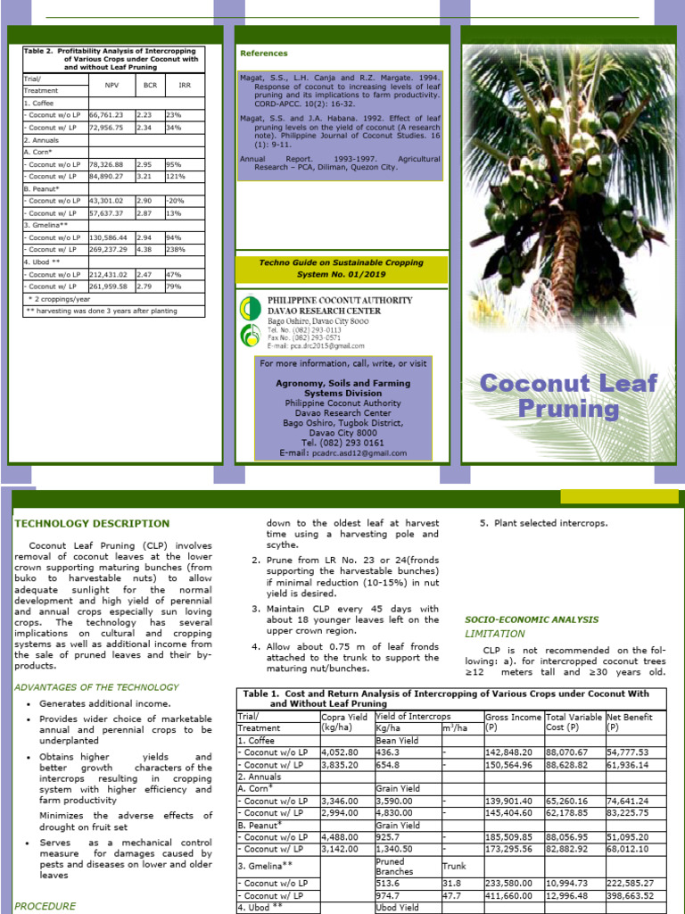 Coconut Leaf Pruning | PDF