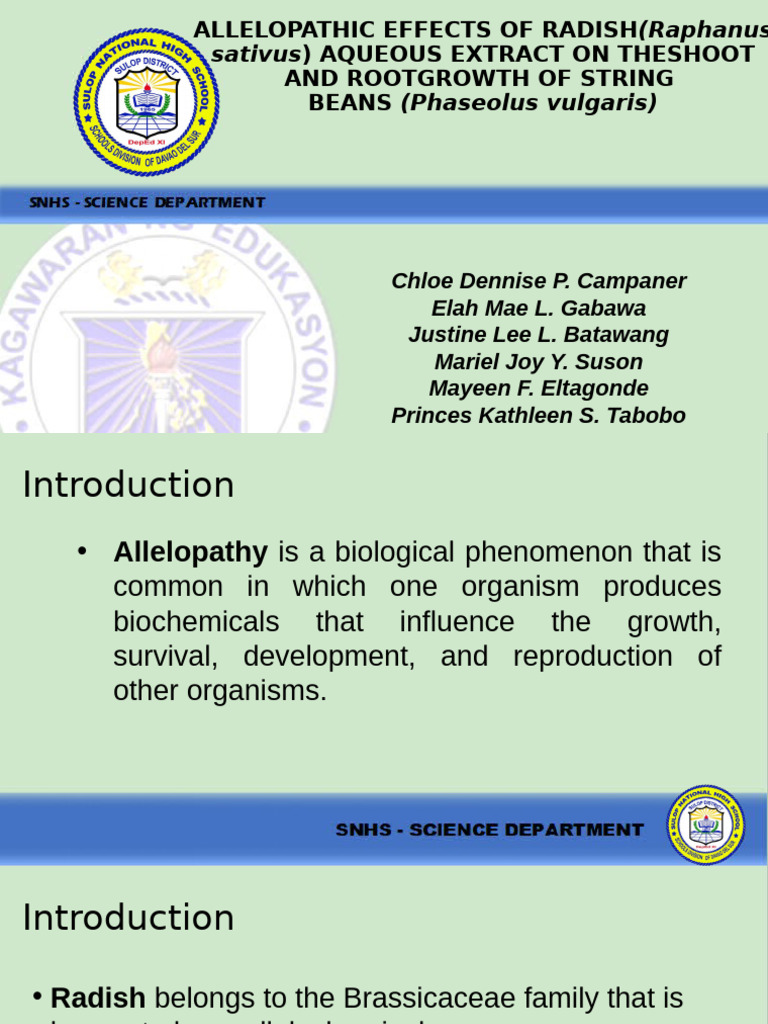 Research Final Defense Template | PDF