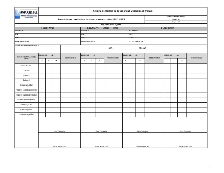 Formato Inspeccion EPCC - EPP'S | PDF