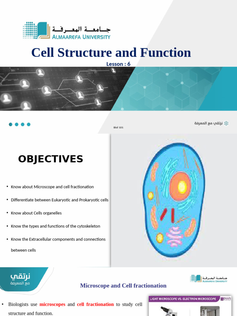 Lesson 6 Cell Structure and Function | PDF