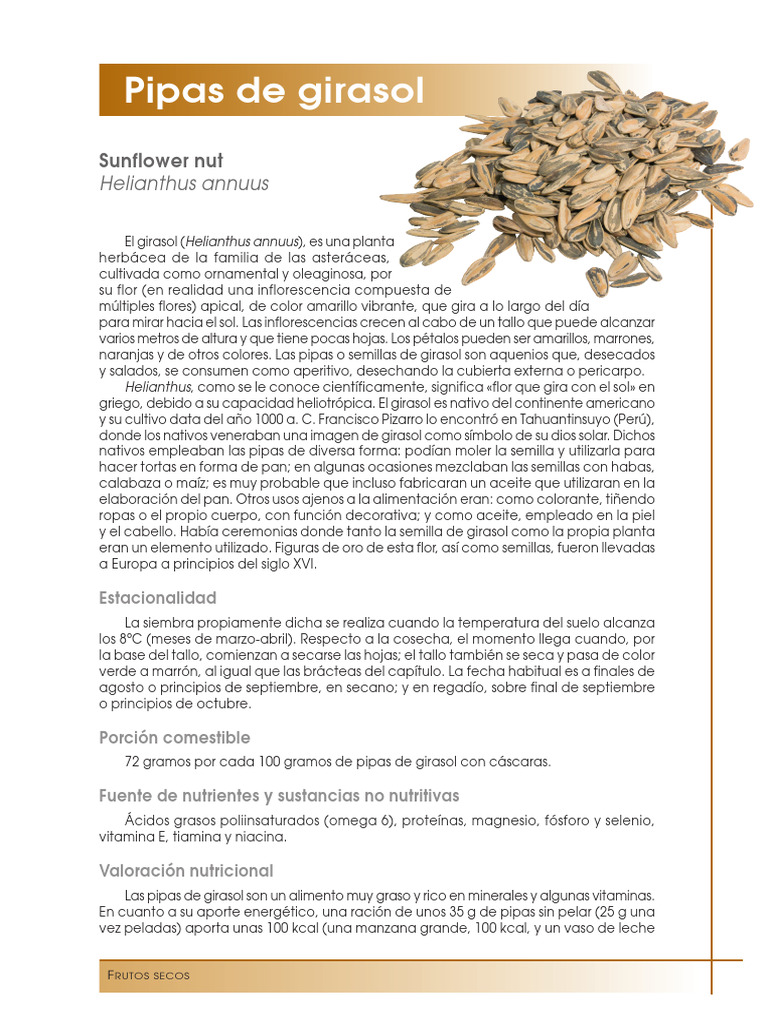 Pipas Girasol | PDF