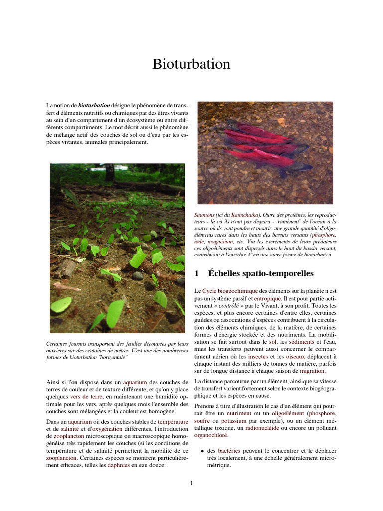 Bioturbation Wikipedia FR | PDF