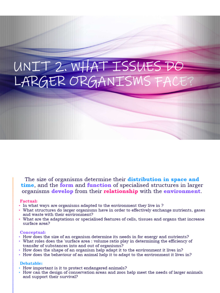 IB MYP Bio - Unit 2. What Issues Do Larger Organisms Face | PDF