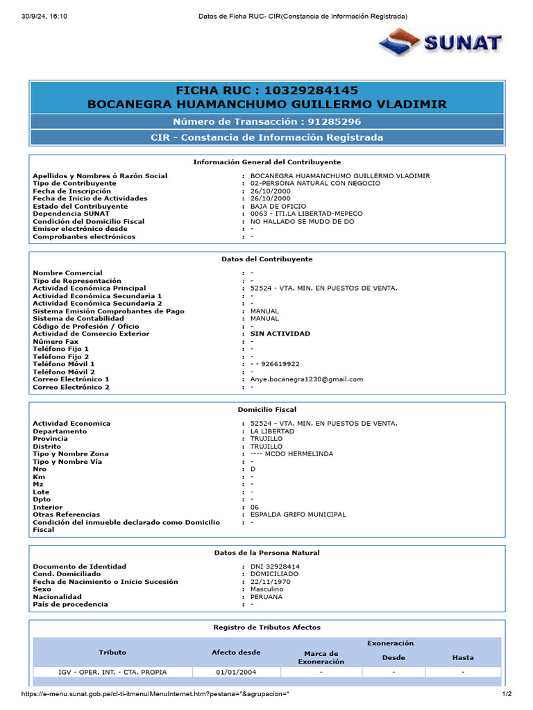 Sunat - Menú Sol | PDF