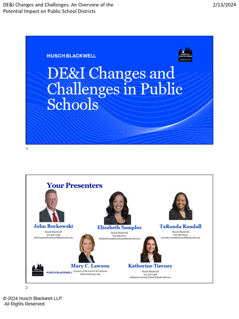 DEI Presentation | PDF