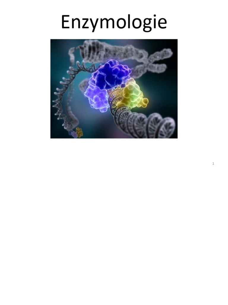 BIOCH 5 Structure Des Enzymes | PDF
