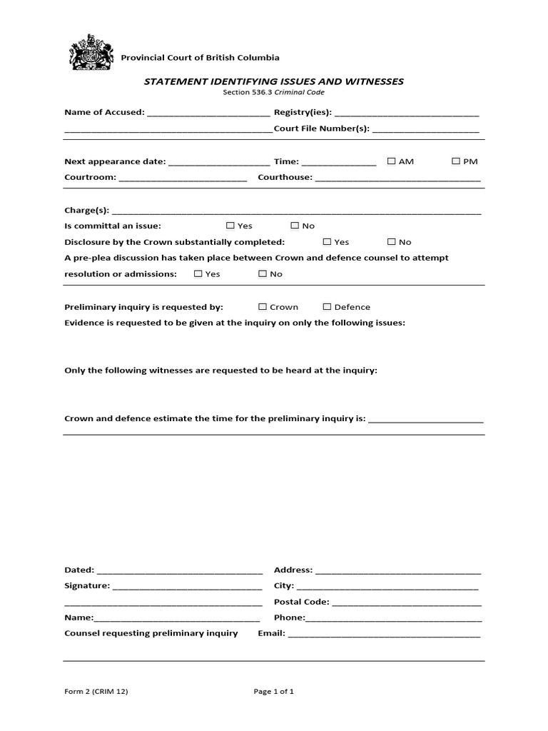 Statement of Issue Witnesses Form2 Crim12 | PDF