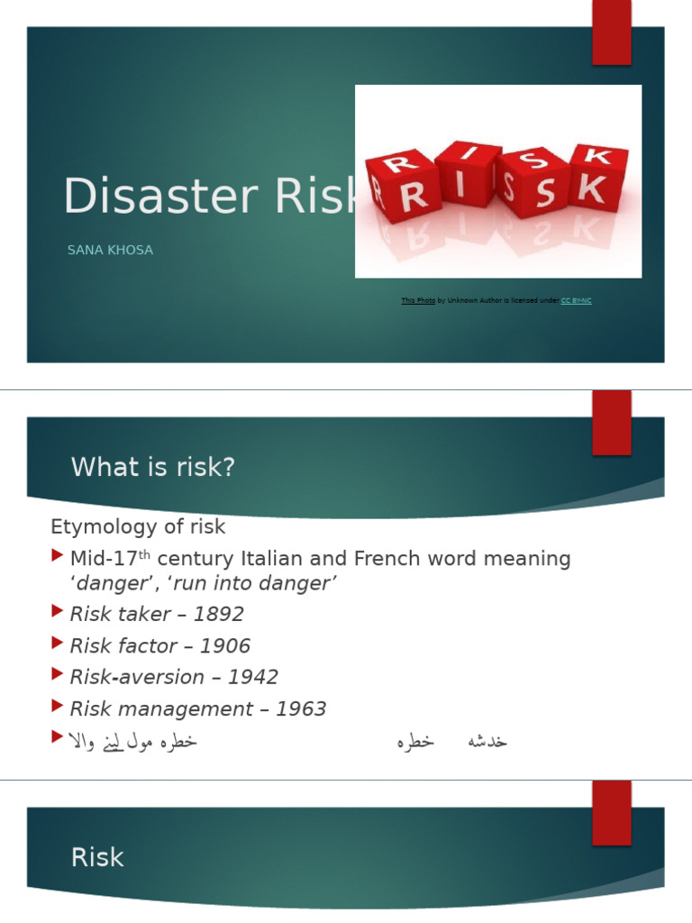 Session 6 Risk | PDF