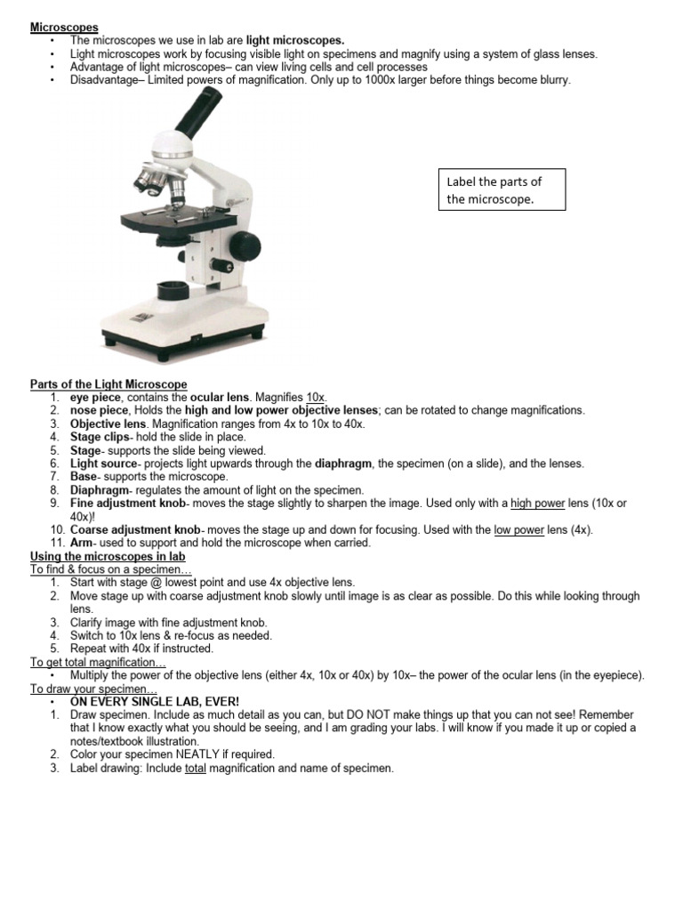 Microscope Notes and Lab+2024 | PDF