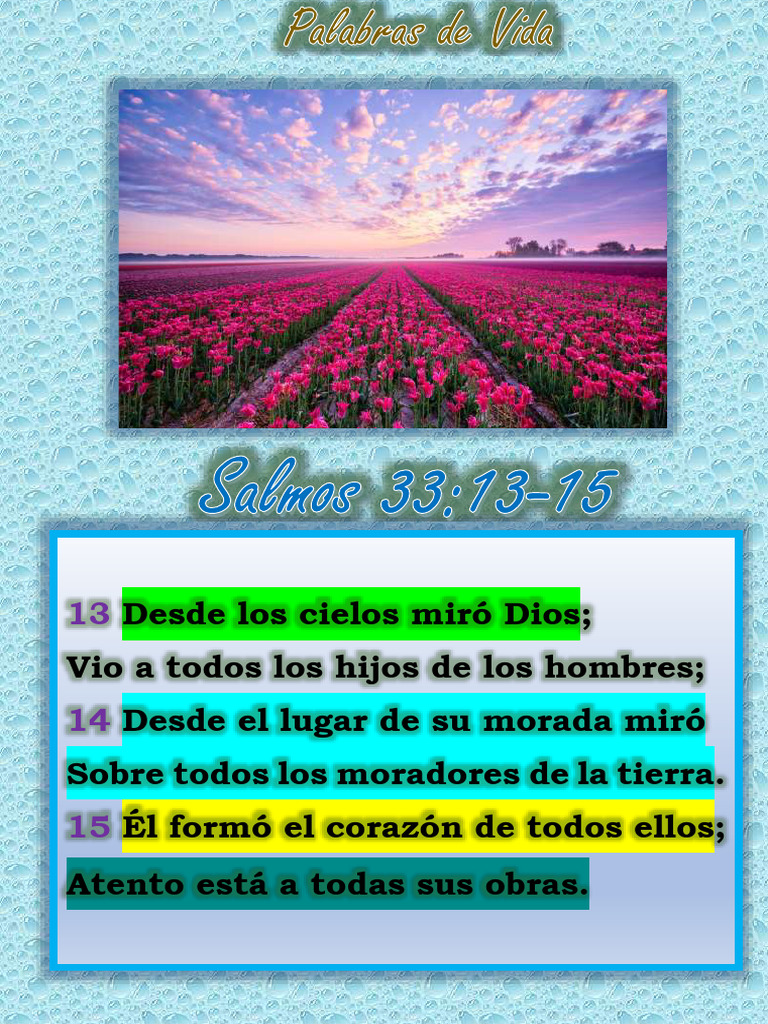 Salmos 33,13 | PDF