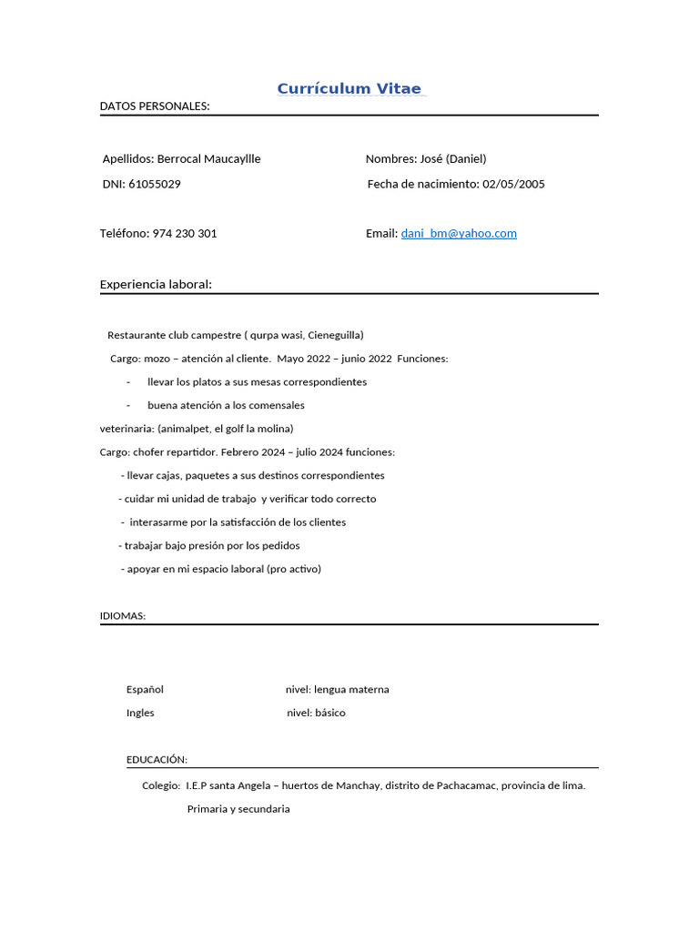 Currículum Vitae DANIEL | PDF