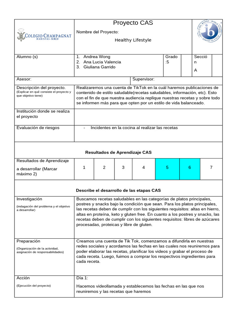 2do Proyecto CAS | PDF