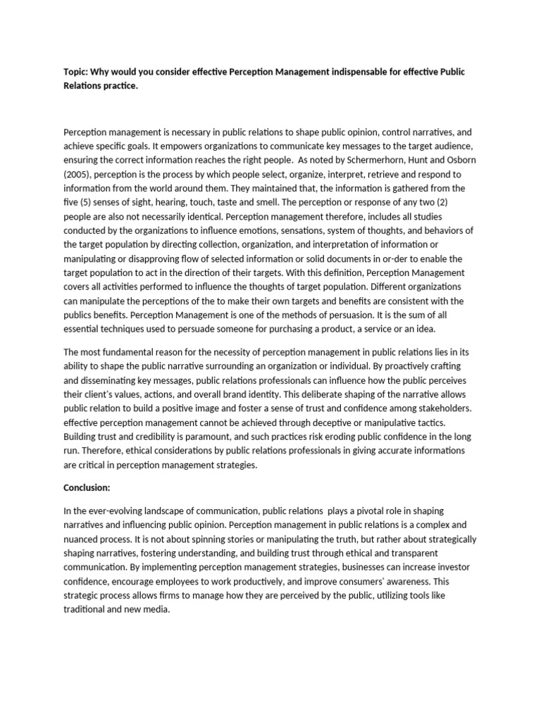 Perception Management 1 | PDF