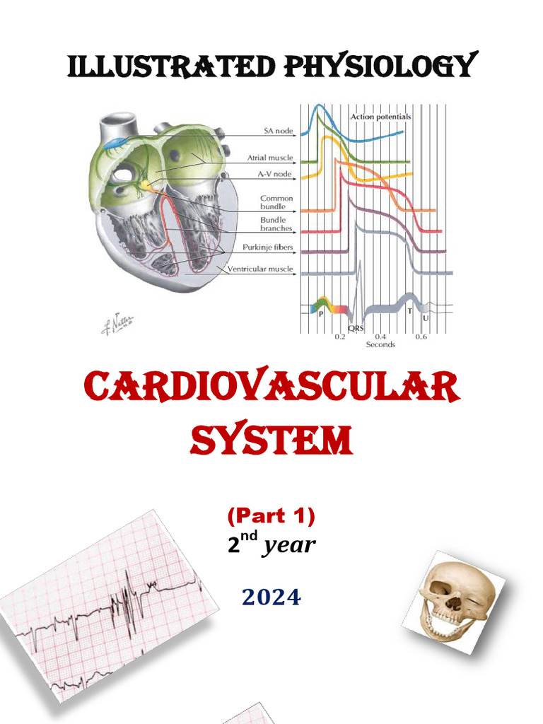 Cvs 1 | PDF