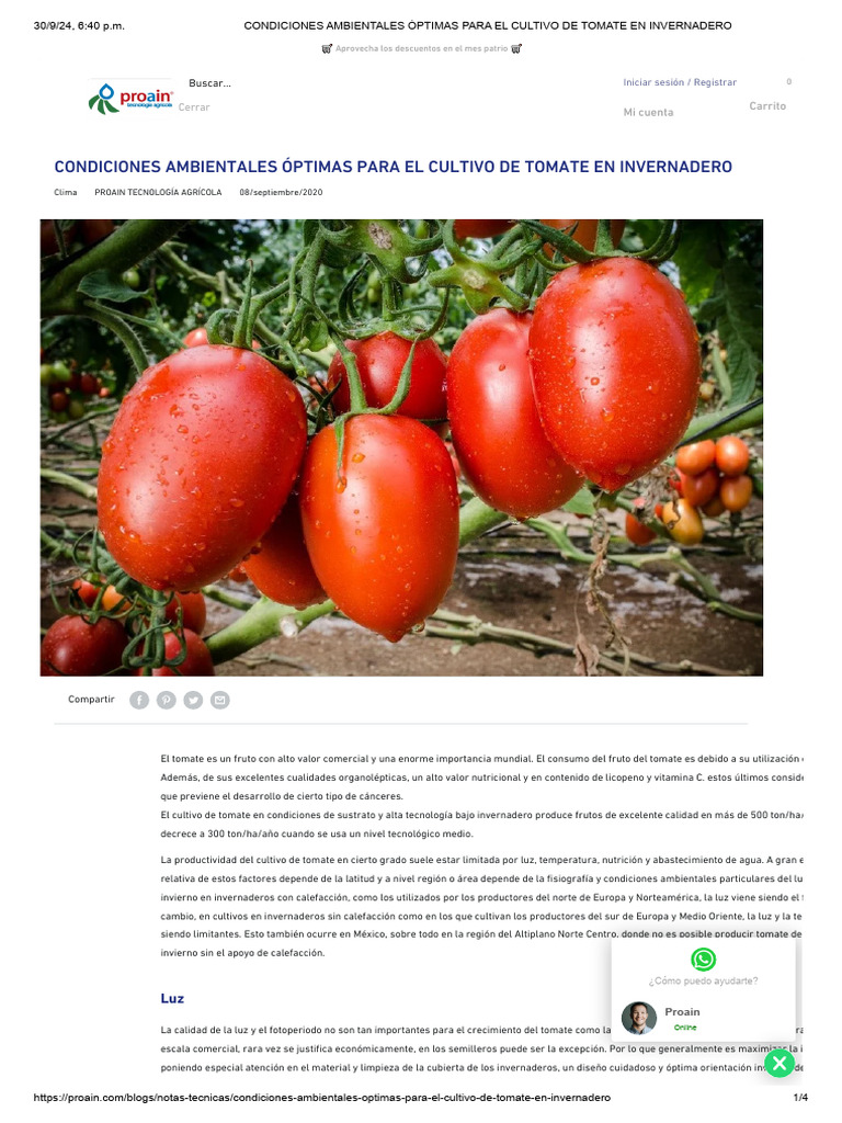 Tomate | PDF
