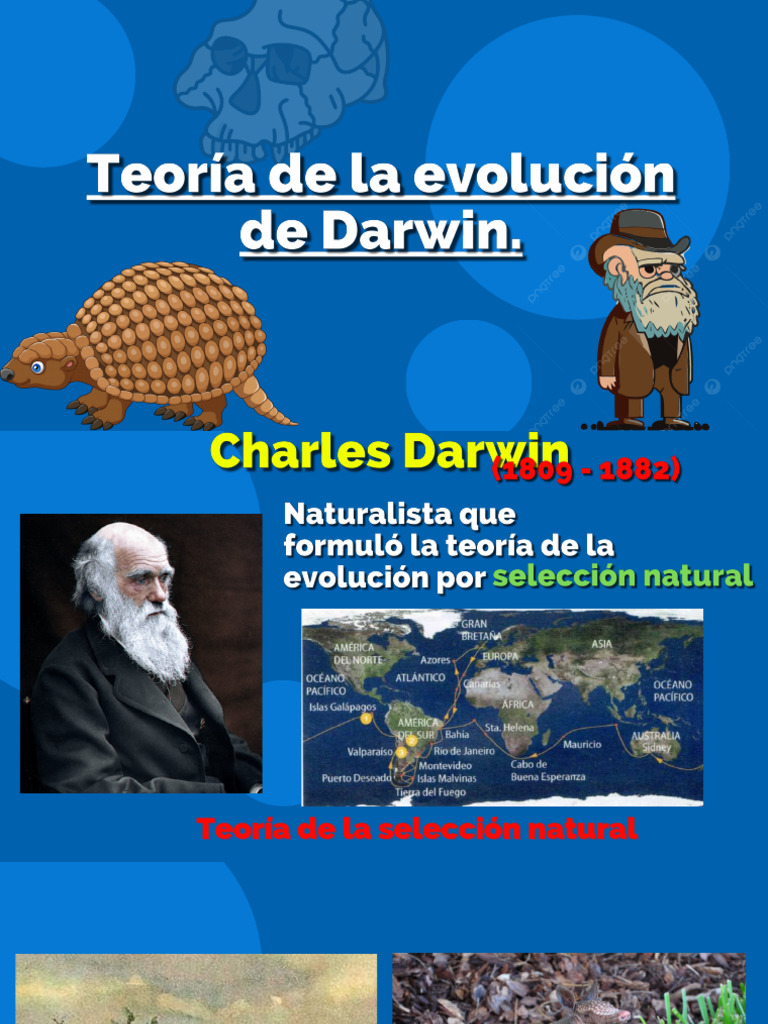 Teoría de Darwin | PDF