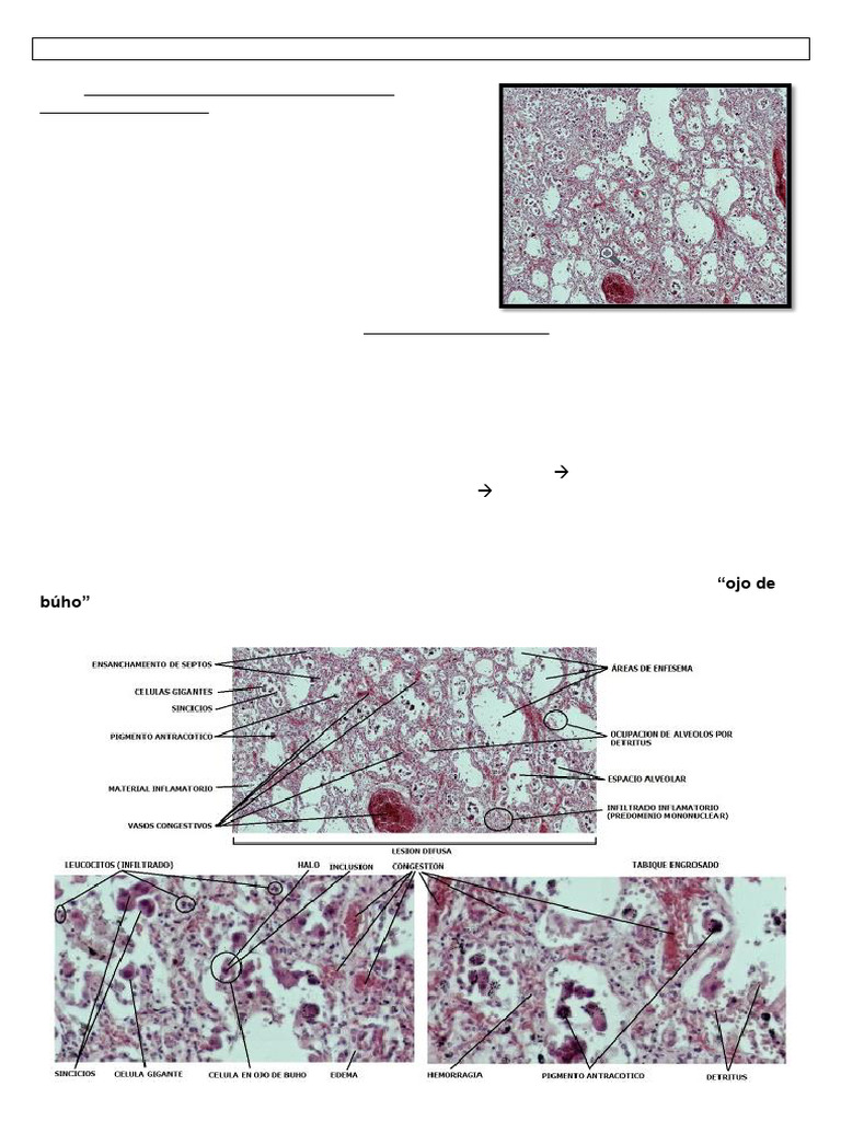Micro 2do Parcial | PDF
