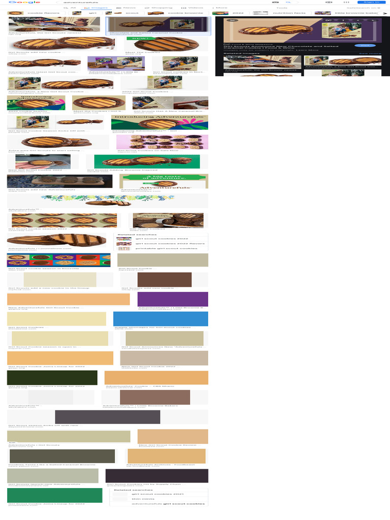 Adventurefuls - Google Search | PDF