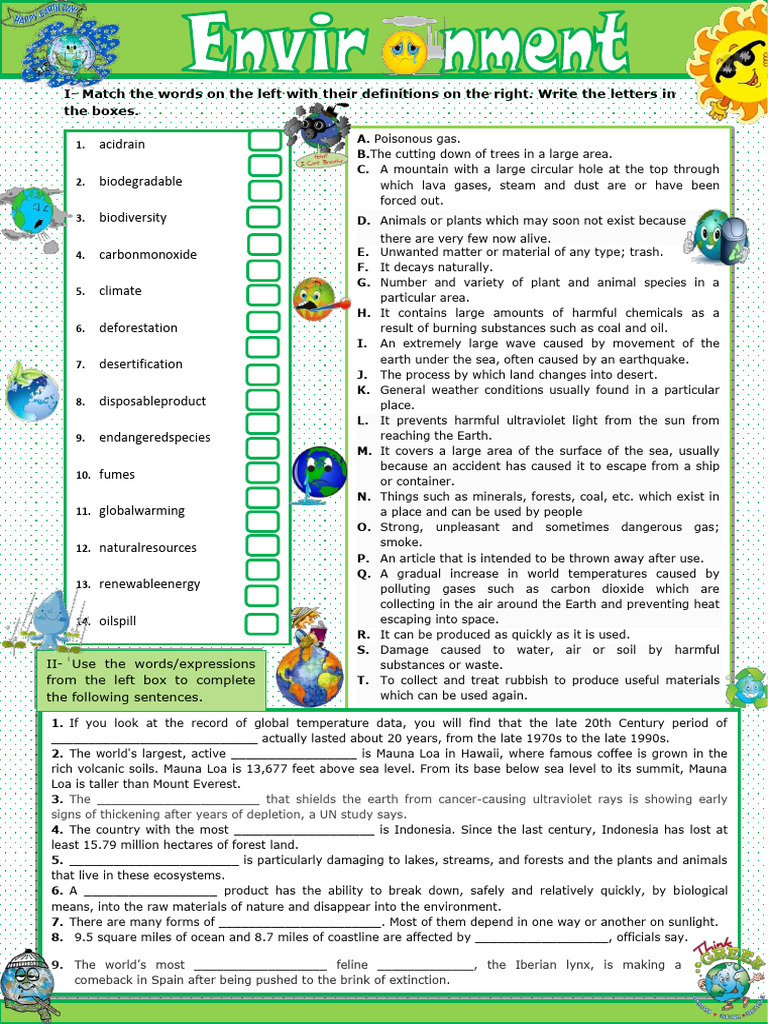 The Environment Vocabulary | PDF