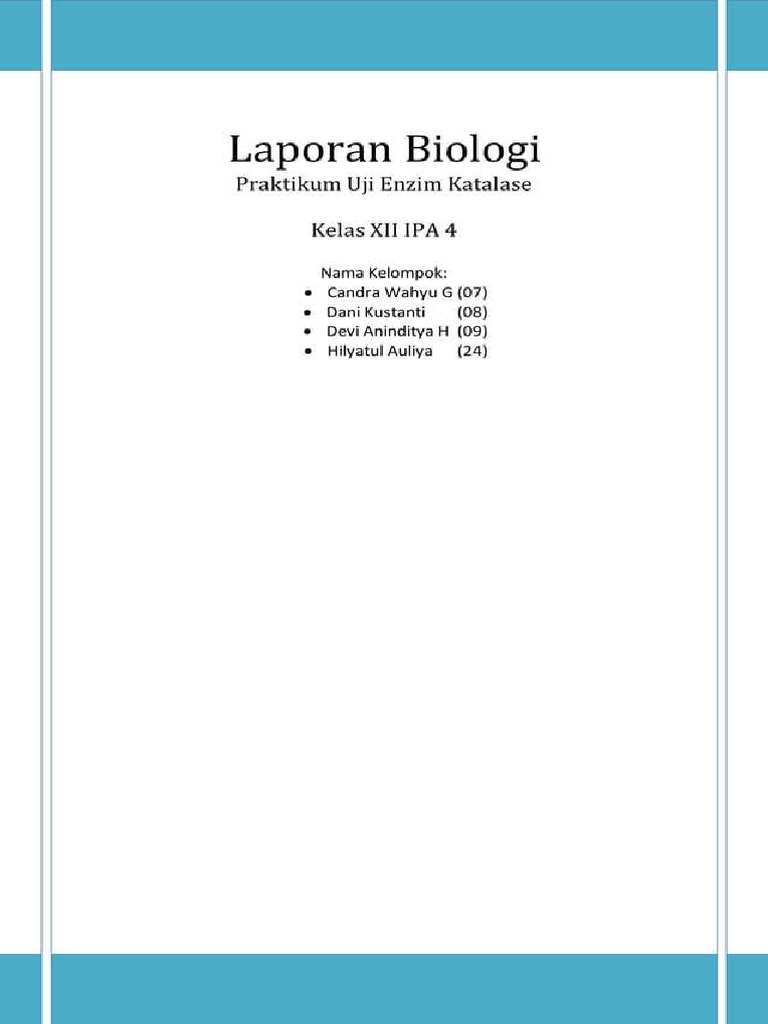 e258ee9f-039f-4681-bf55-9cf3fe21986f | PDF