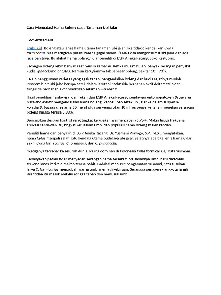 Cara Mengatasi Hama Boleng Pada Tanaman Ubi Jalar | PDF