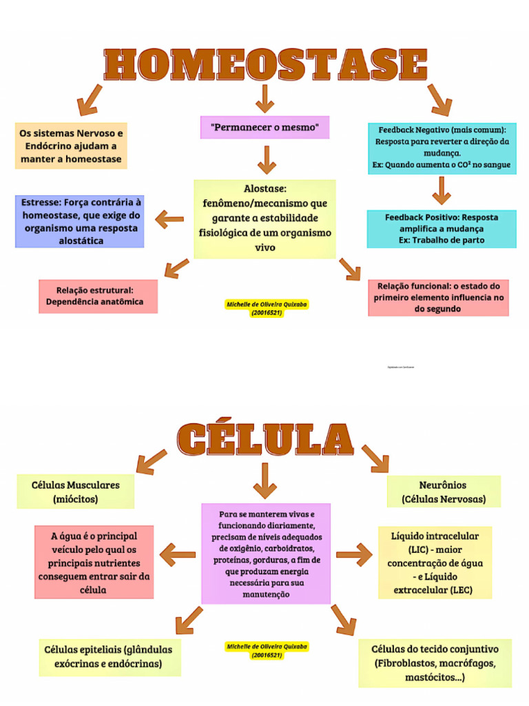 Homeostase e Célula - Mapa Mental | PDF