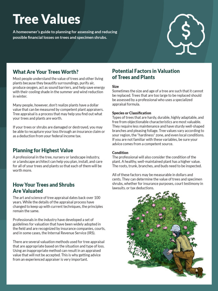 TreesAreGood Tree-Values | PDF
