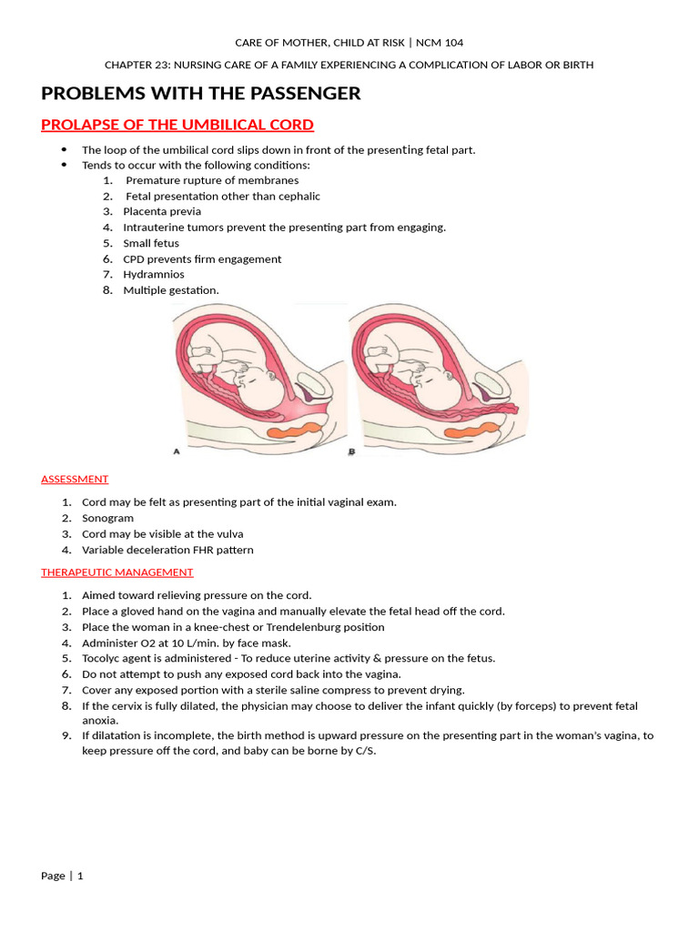 Problems With The Passenger, Position and Passageway | PDF