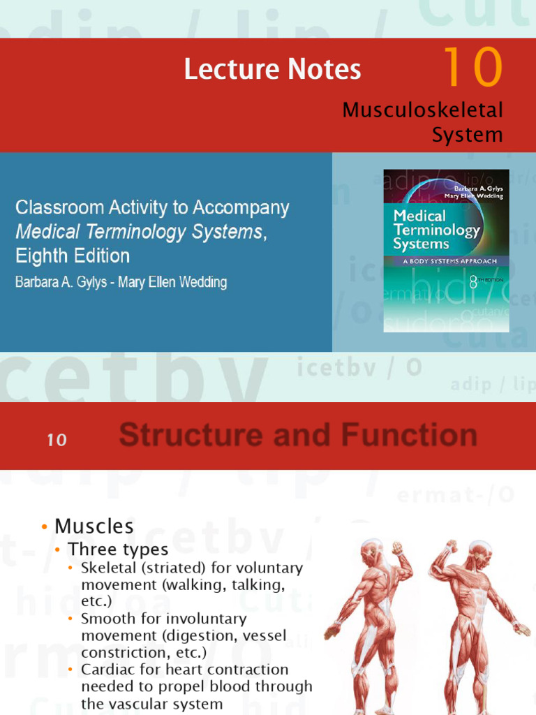 Lesson 3 (CH10) - Musculoskeletal System | PDF