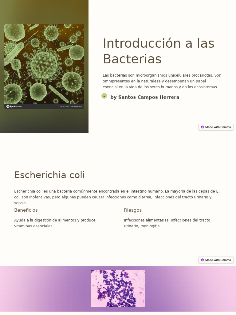 Introduccion A Las Bacterias | PDF