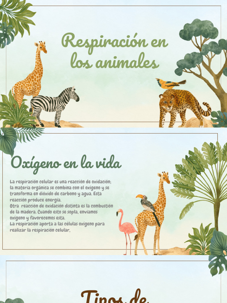 Respiracion en Animales | PDF