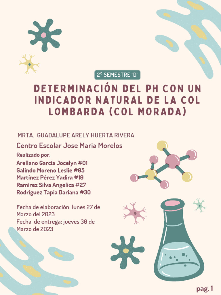 DETERMINACIÓN DEL PH CON UN INDICADORl NATURAL DE LA COL LOMBARDA (COL ...