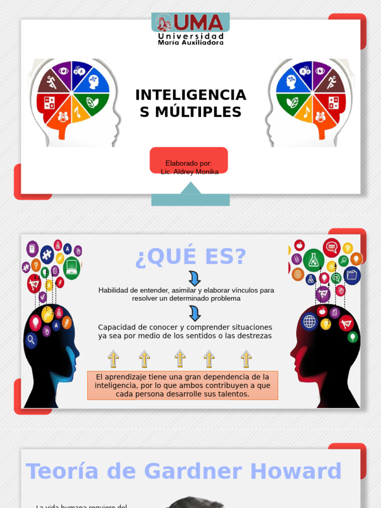 Inteligencias Multiples | PDF