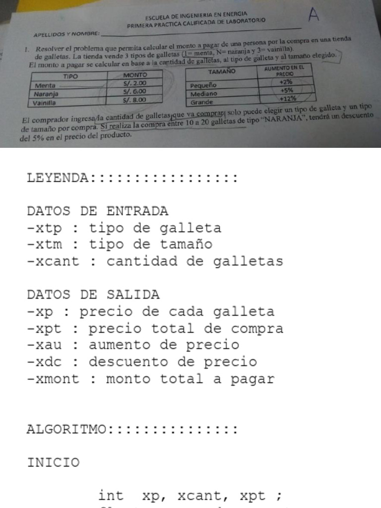 PC1 LAB Lenguaje Programacion | PDF