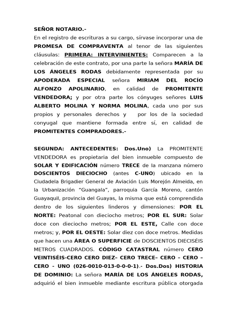 Solo Minuta PV Borrador | PDF