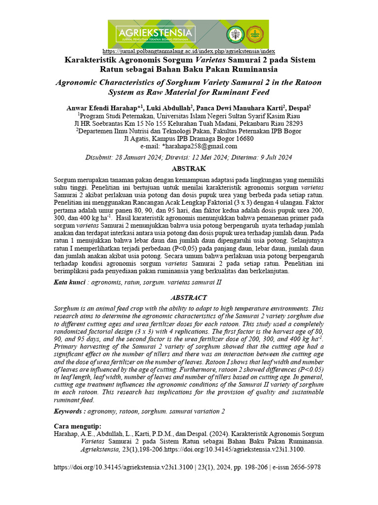 Sorghum Samurai 2 Ratoon Agronomy | PDF | Staple Foods | Cereals