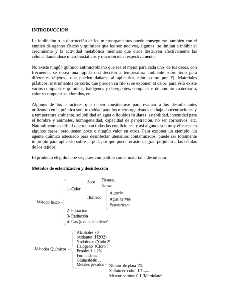 Informe Bacter 4 | PDF