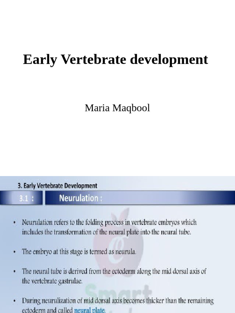 Early Vertebrate Development | PDF